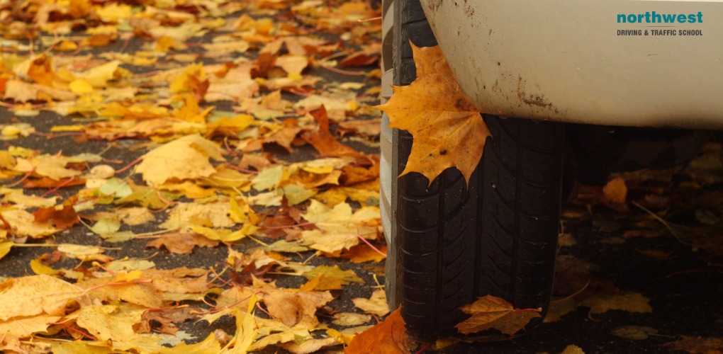 What Are The Most Dangerous Aspects Of Fall Driving? | NWDS