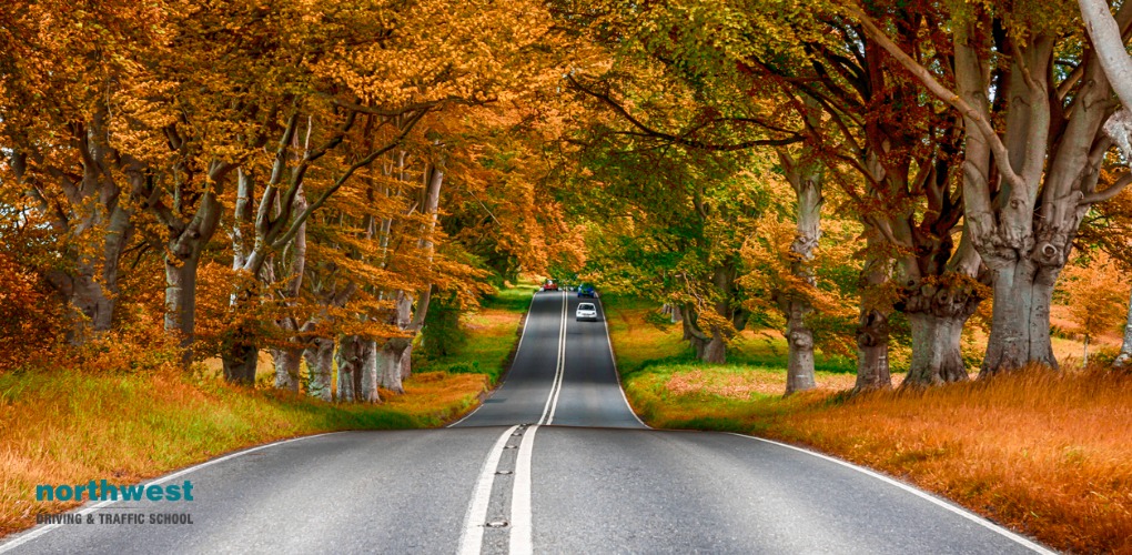 A Guide To Avoiding The Most Dangerous Aspects Of Fall Driving ...